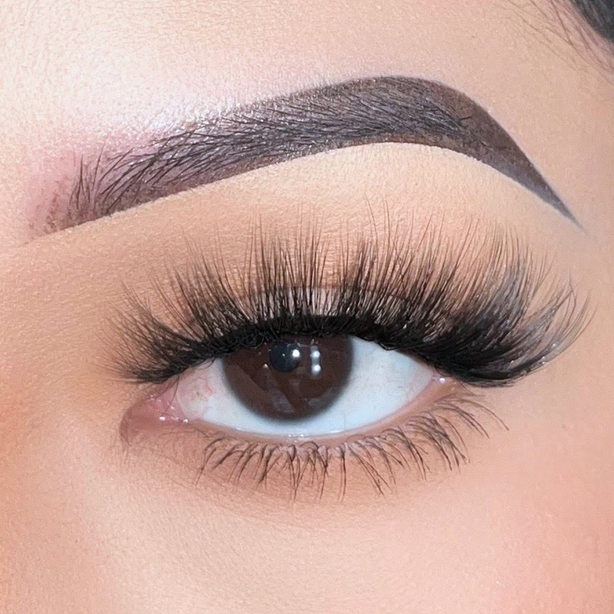 Boldface Lashes - Still Trending | False Eyelashes