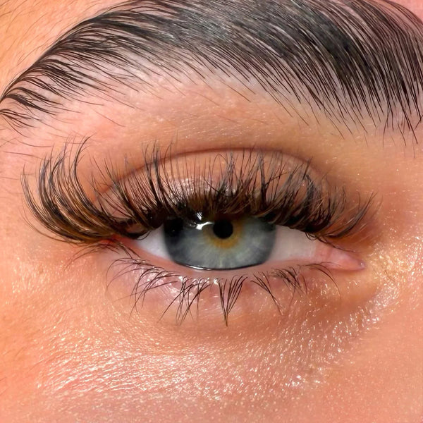 Unicorn Cosmetics UnBearlievable Cluster Lashes - Shut The Fluff Up Es ...
