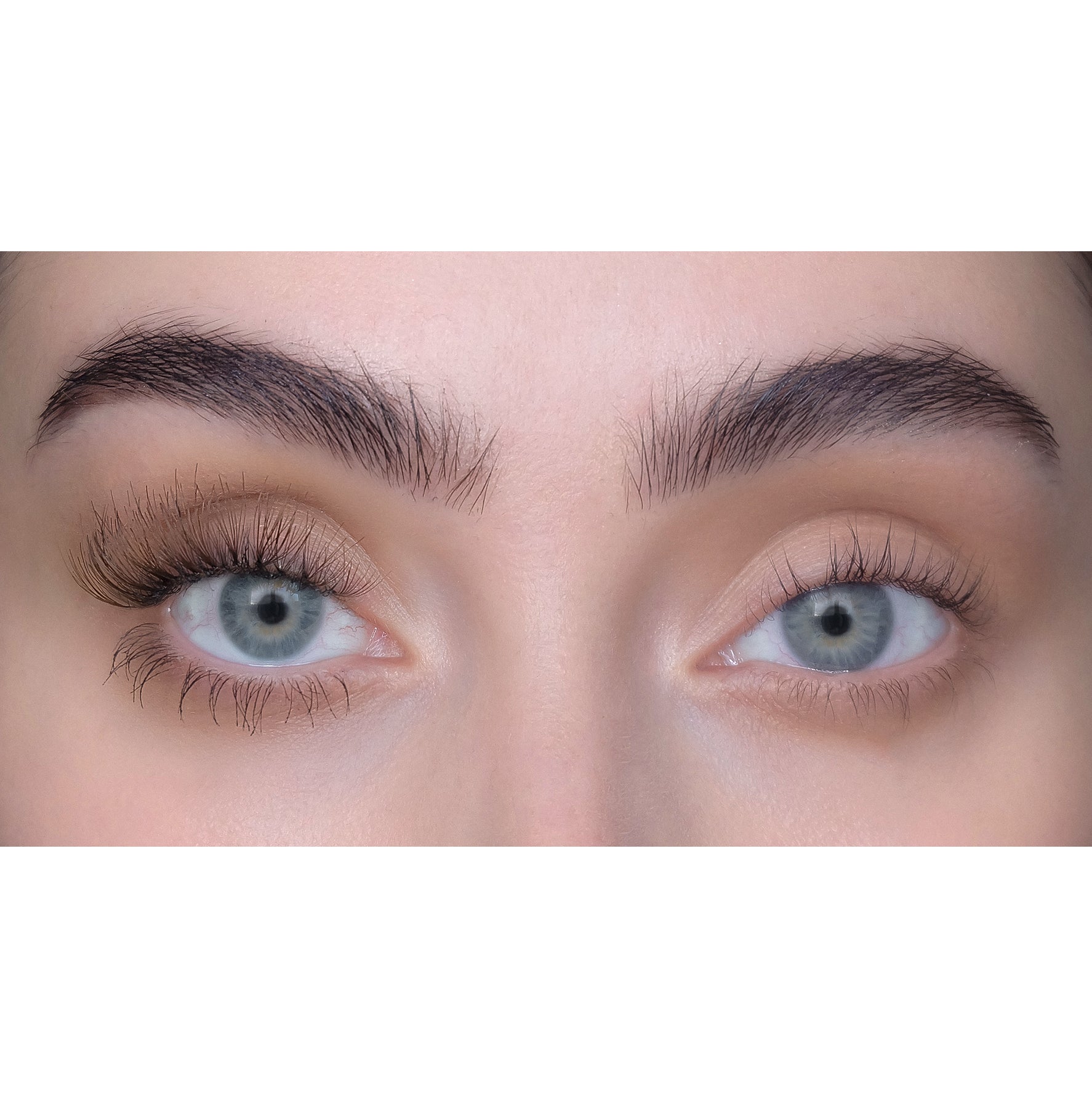 SWEED Lashes - Choco (Brown) | False Eyelashes