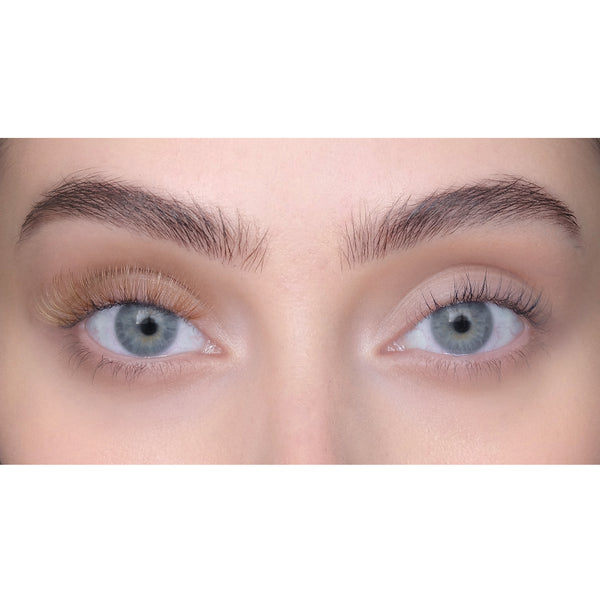 SWEED Lashes - Dina (Dark Blonde) | False Eyelashes